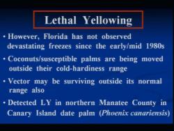 Directory Listing of ./TLSC08_Elliott_Palm_Disease/ (Directory Listing)